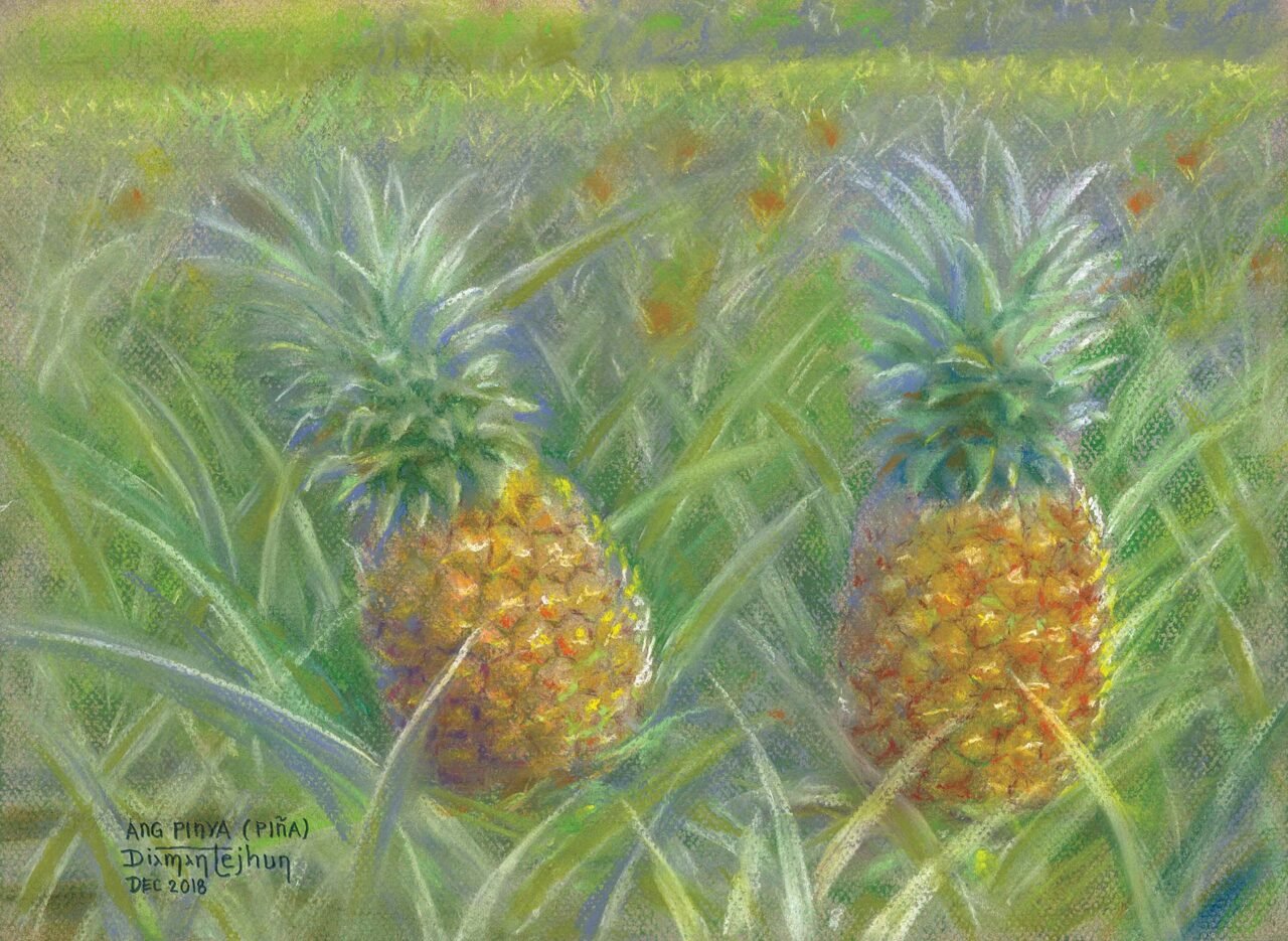 039 Ang Pinya (Piña) | Jhun Ciolo Diamante - Filipino Canadian Artist ...